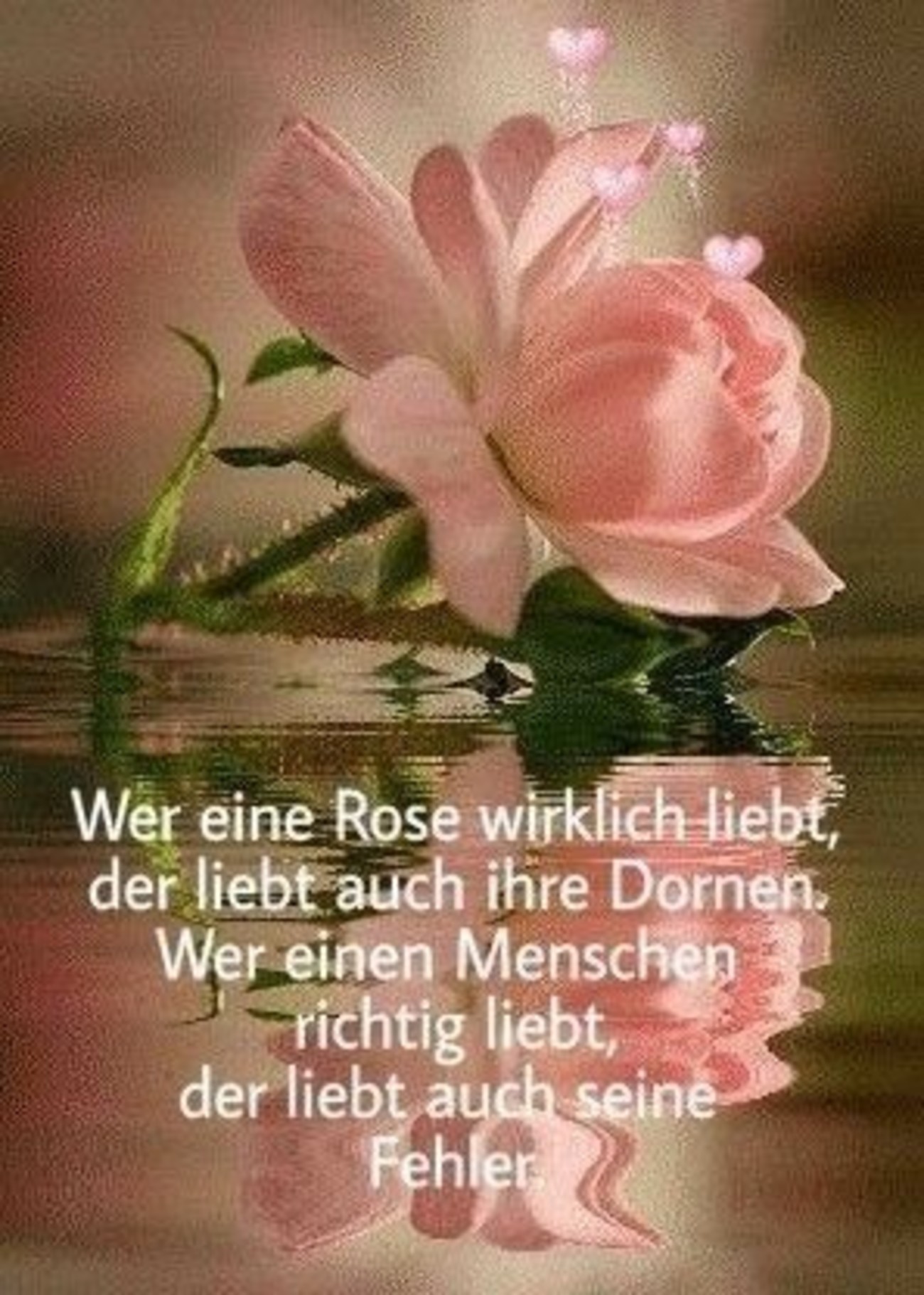 Bilder Sprüche 249 - GBPicsBilder.com