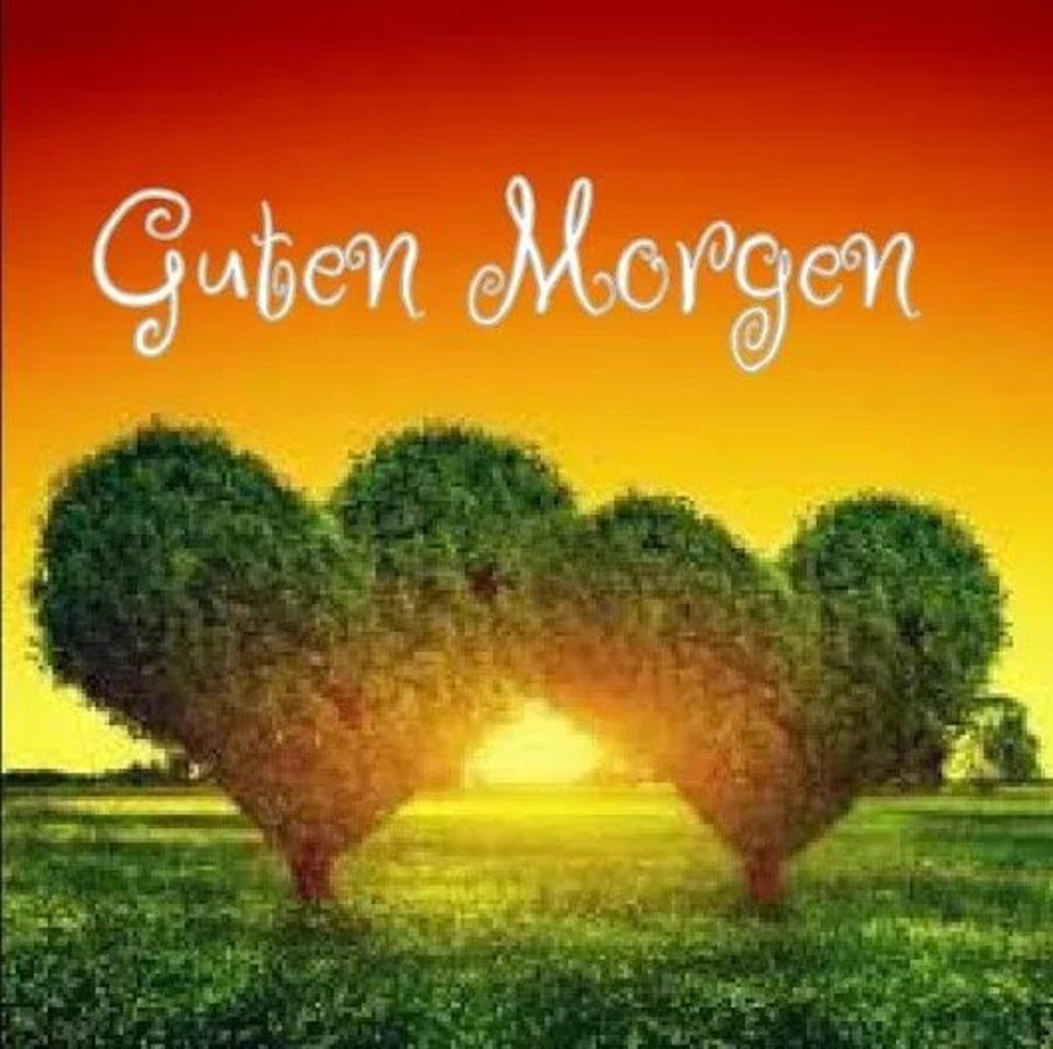 Guten Morgen gruß - GBPicsBilder.com