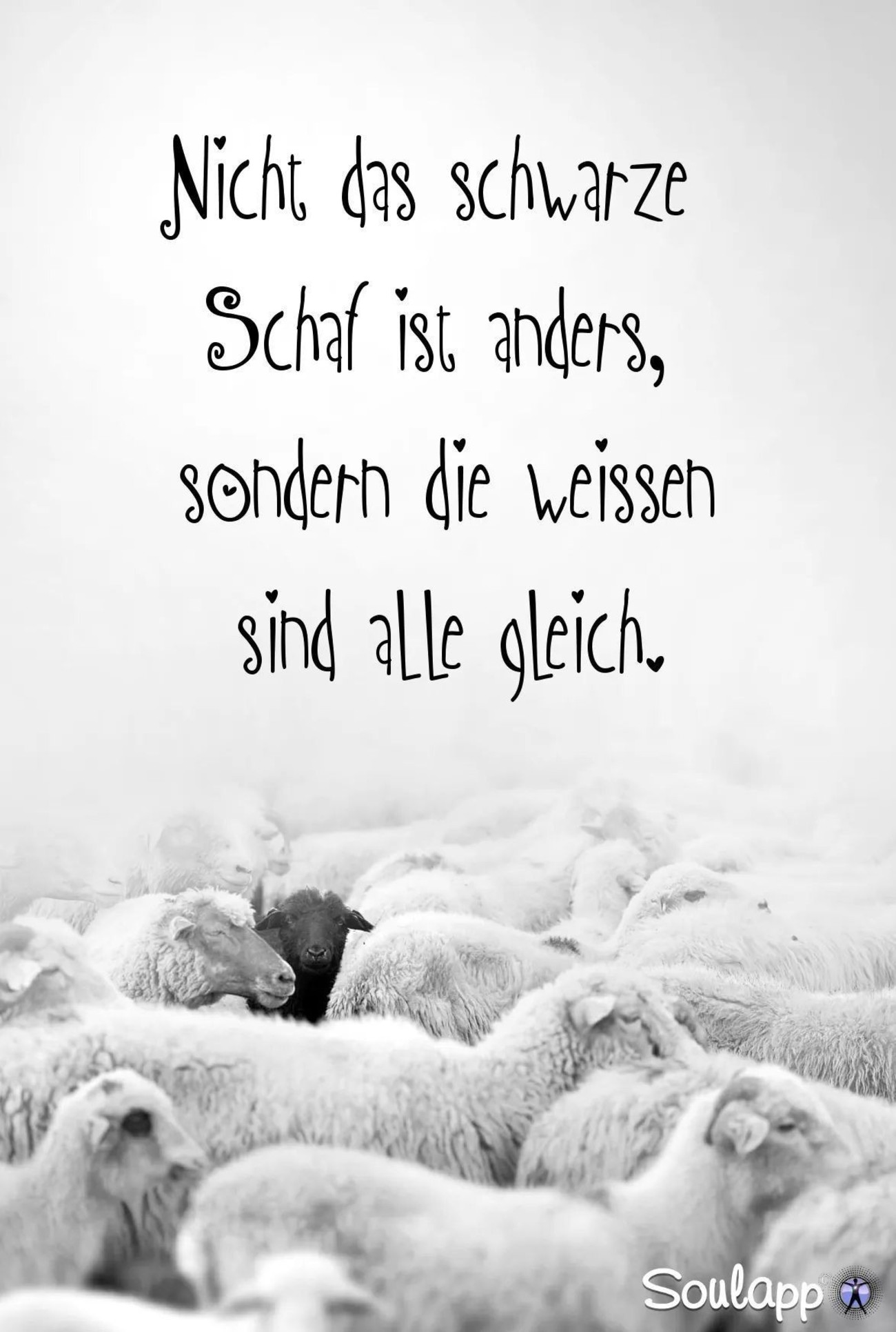 Sprüche bilder - GBPicsBilder.com