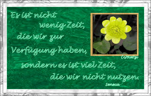 Sprüche jappy bilder 76 - GBPicsBilder.com