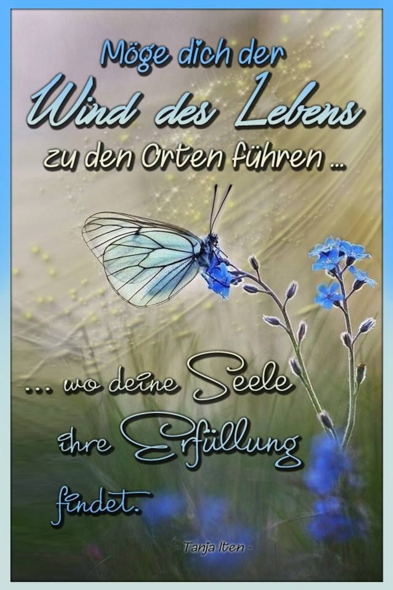 Sprüche jappy bilder 8 - GBPicsBilder.com