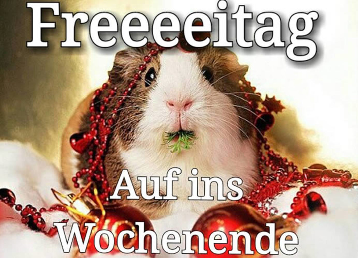 Schönen Freitag bilder kostenlos 276 - GBPicsBilder.com