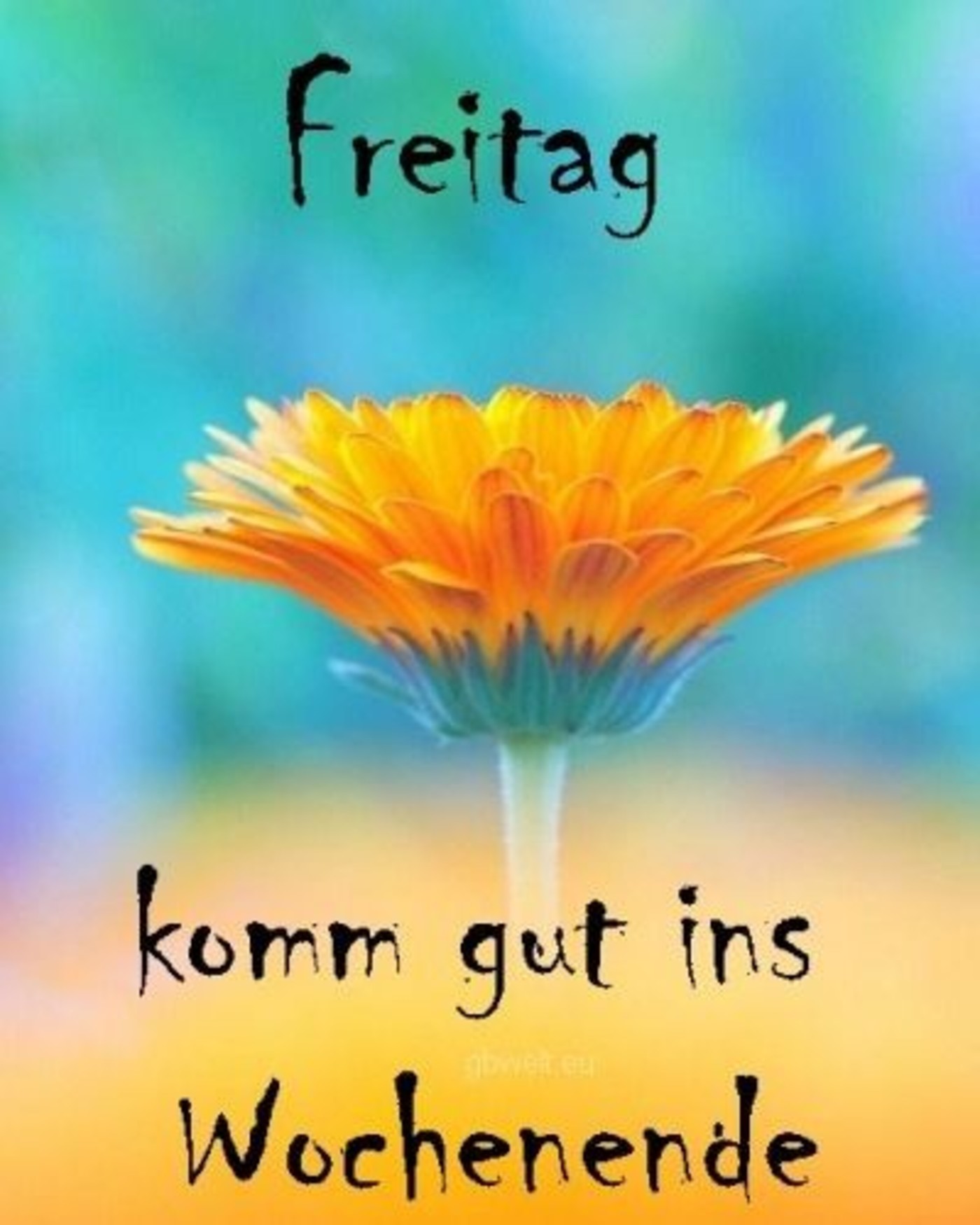 Schönen Freitag gb pics bilder - GBPicsBilder.com