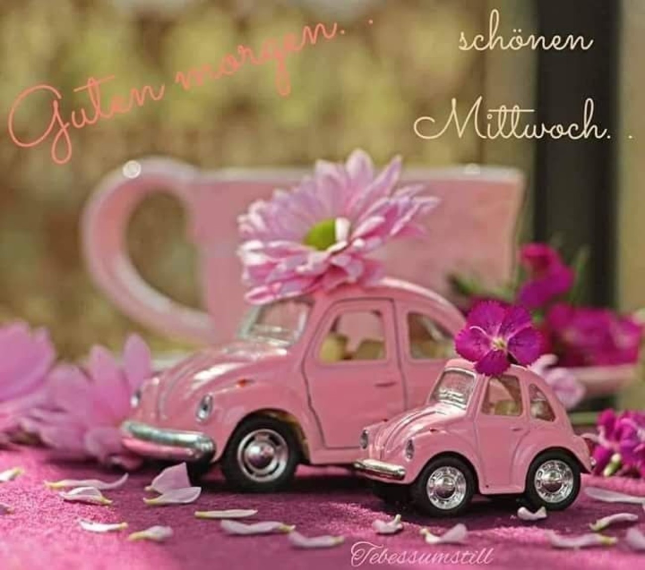 Schonen Mittwoch Bilder Kostenlos