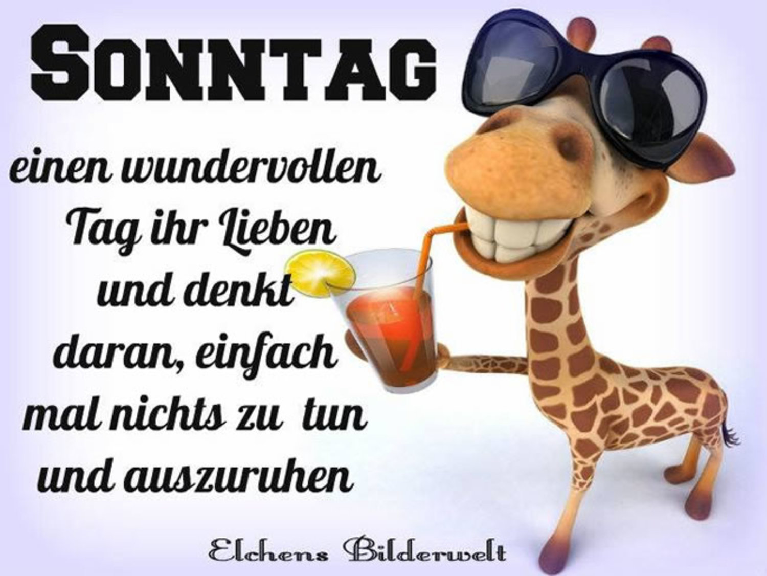 Luxus Lustige Spruche Zum Sonntag Fotos