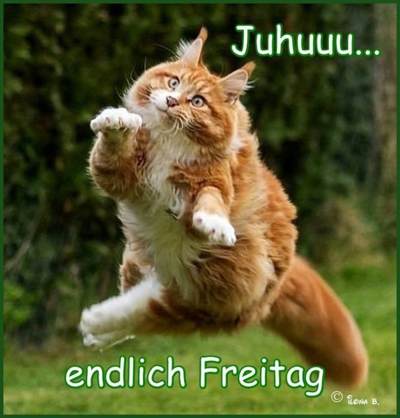 Schönen Freitag und guten start ins wochenende 49 - GBPicsBilder.com Schönen Freitag und guten start ins wochenende 49 - GBPicsBilder.com