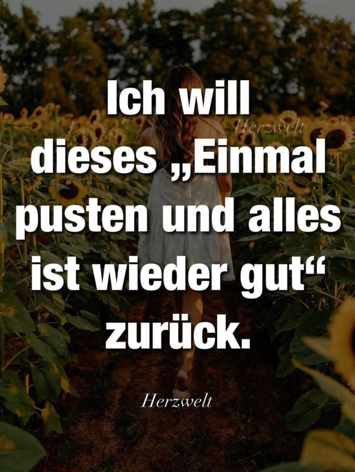 Ich will dieses einmal pusten und alles ist wieder gut zurück ...